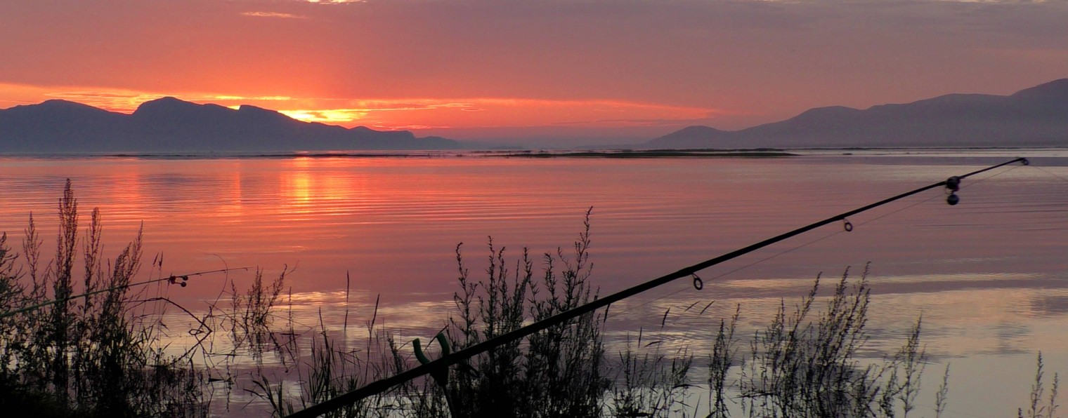 rutube  Александр Плахута.