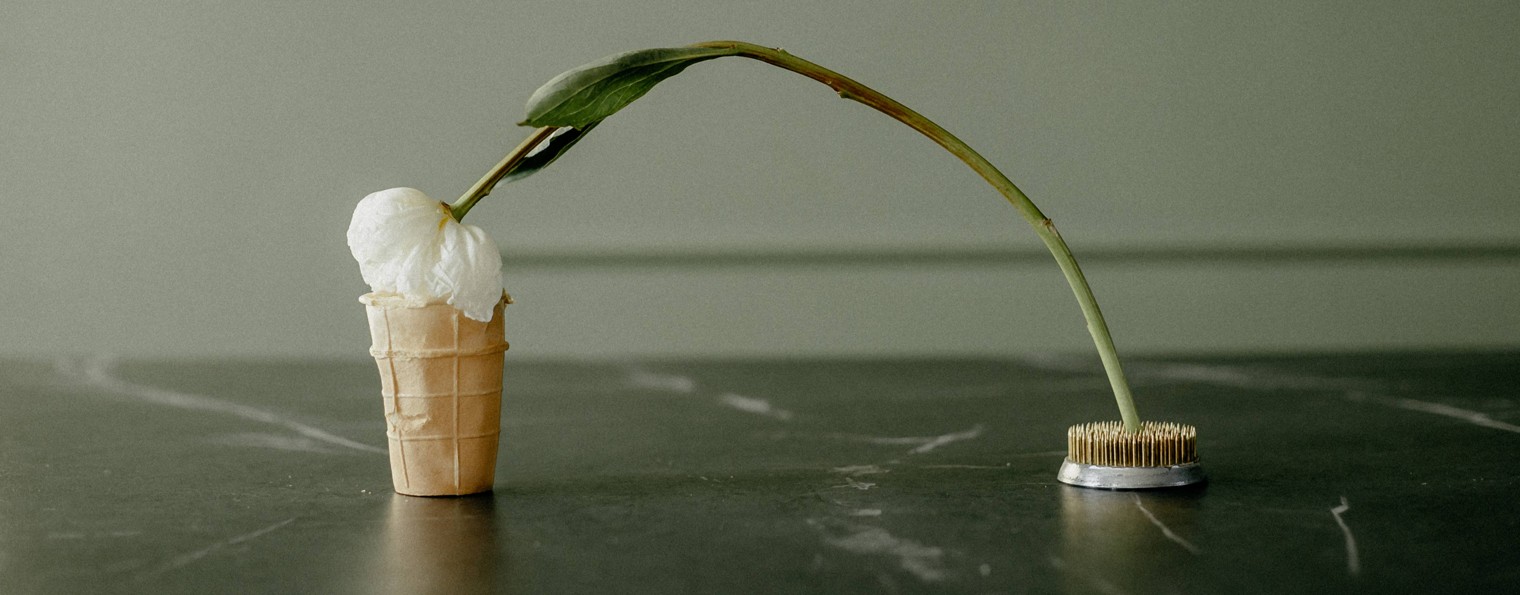 Цветочная ферма С поля в вазу Н.Новгород