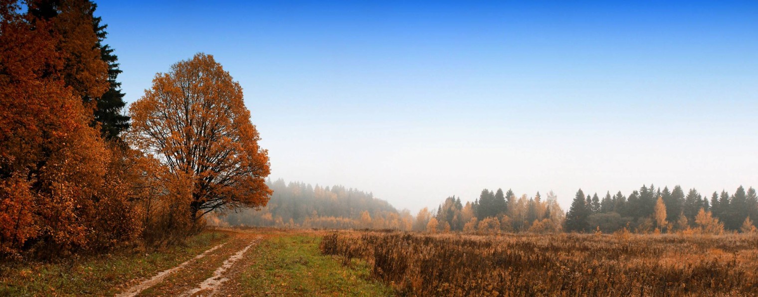 Александр Карацюпа