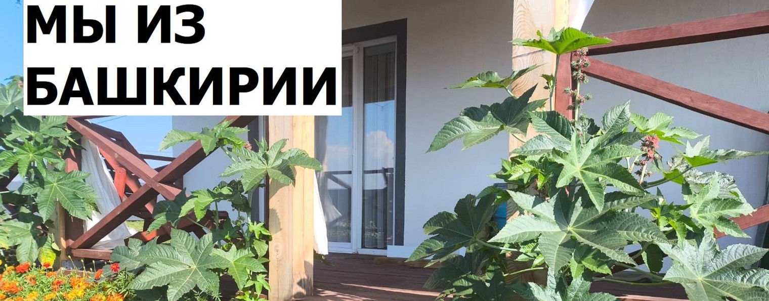 Мы из Башкирии
