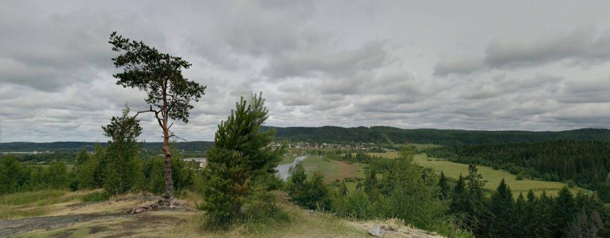 Лес