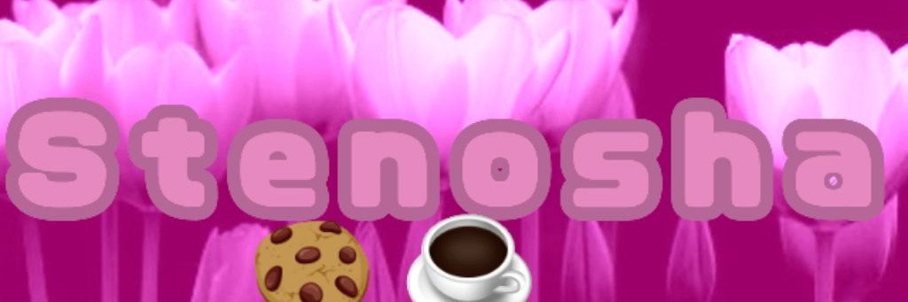 💓🎀Stenosha 🎀💓