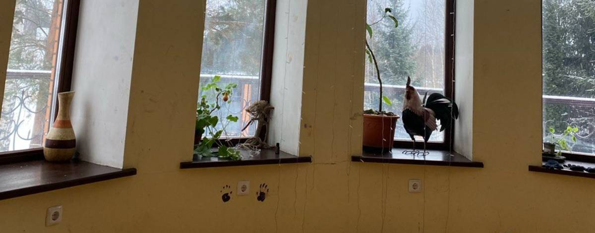 Александрина Шу