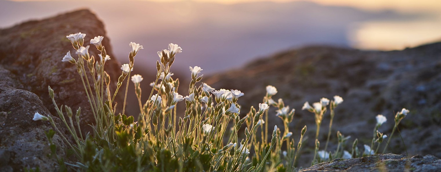 Наш удивительный мир