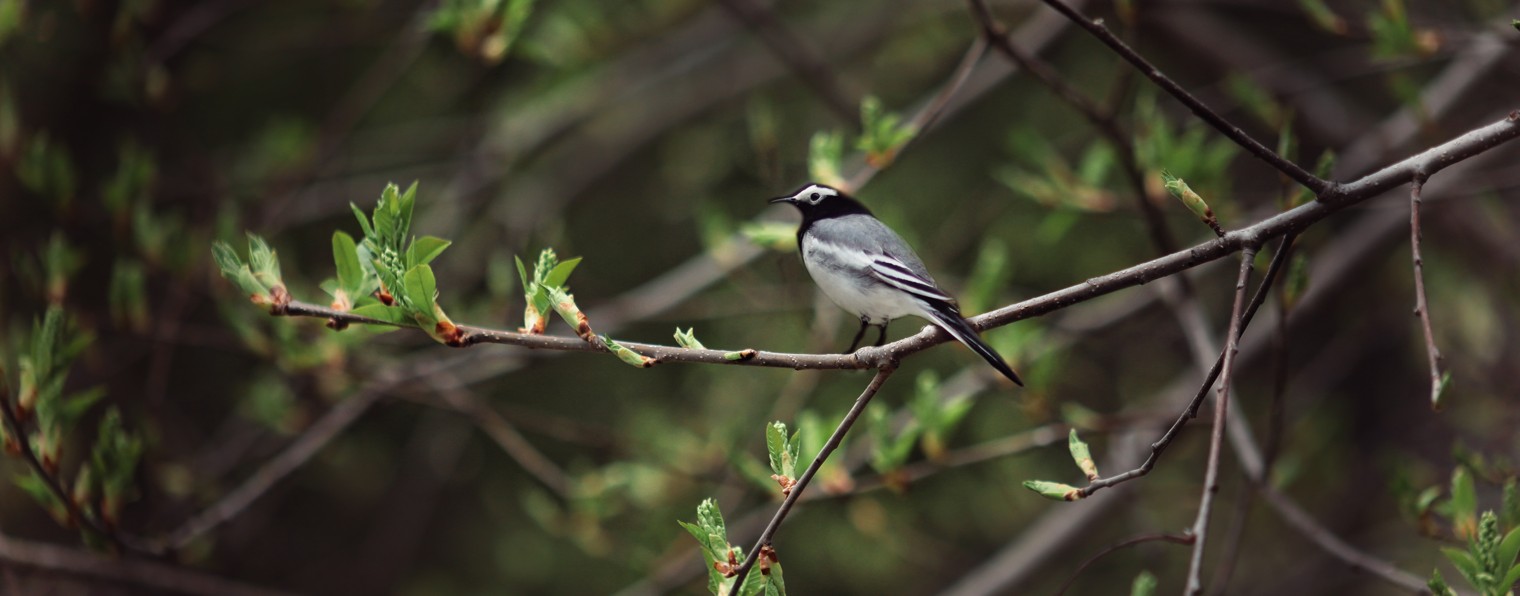Путешествие по жизни