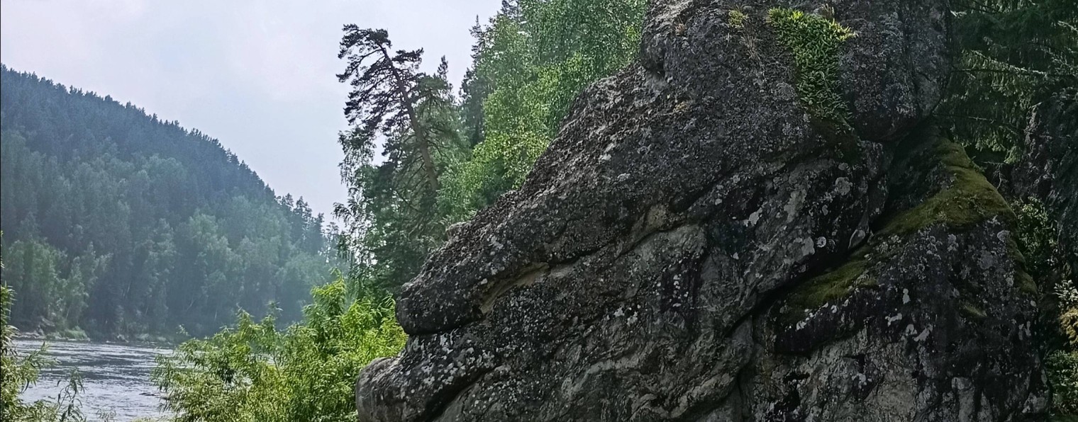 SIBERIAN