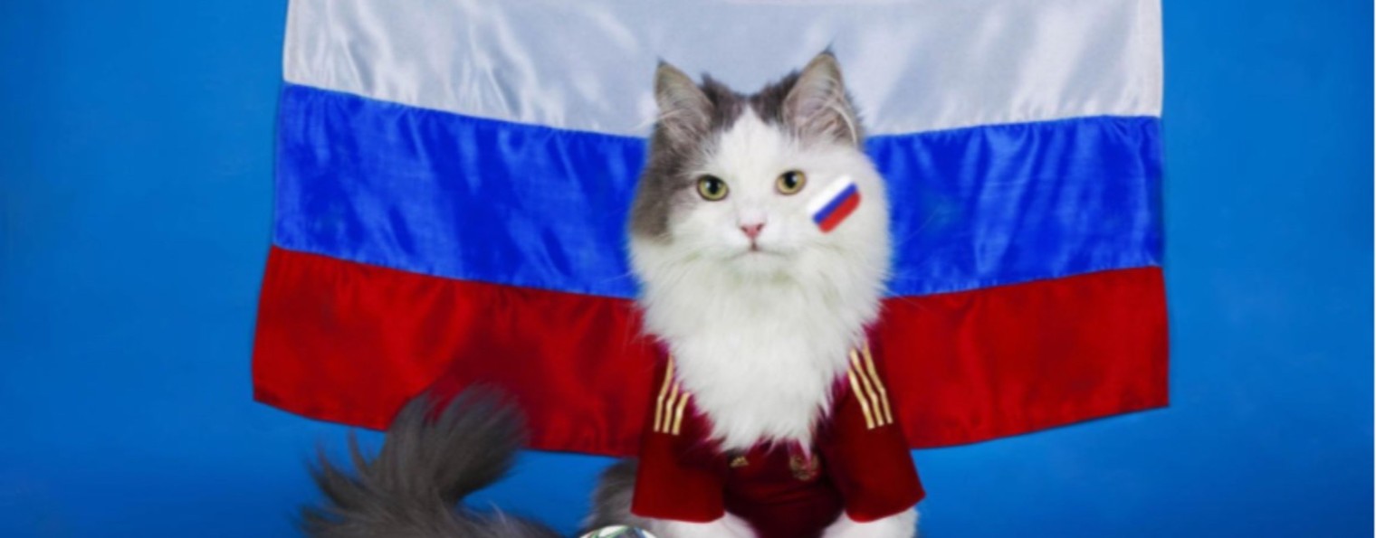 🇧🇾🇧🇾КОТИК12К И СССР11К🇷🇺🇷🇺☑