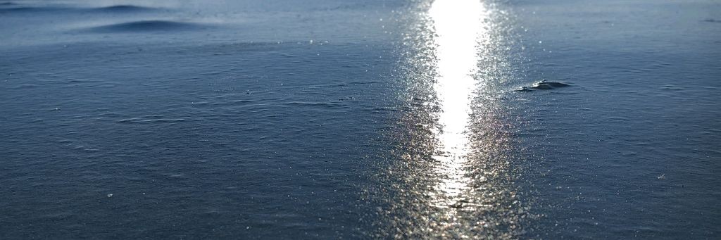 Путешествия Души