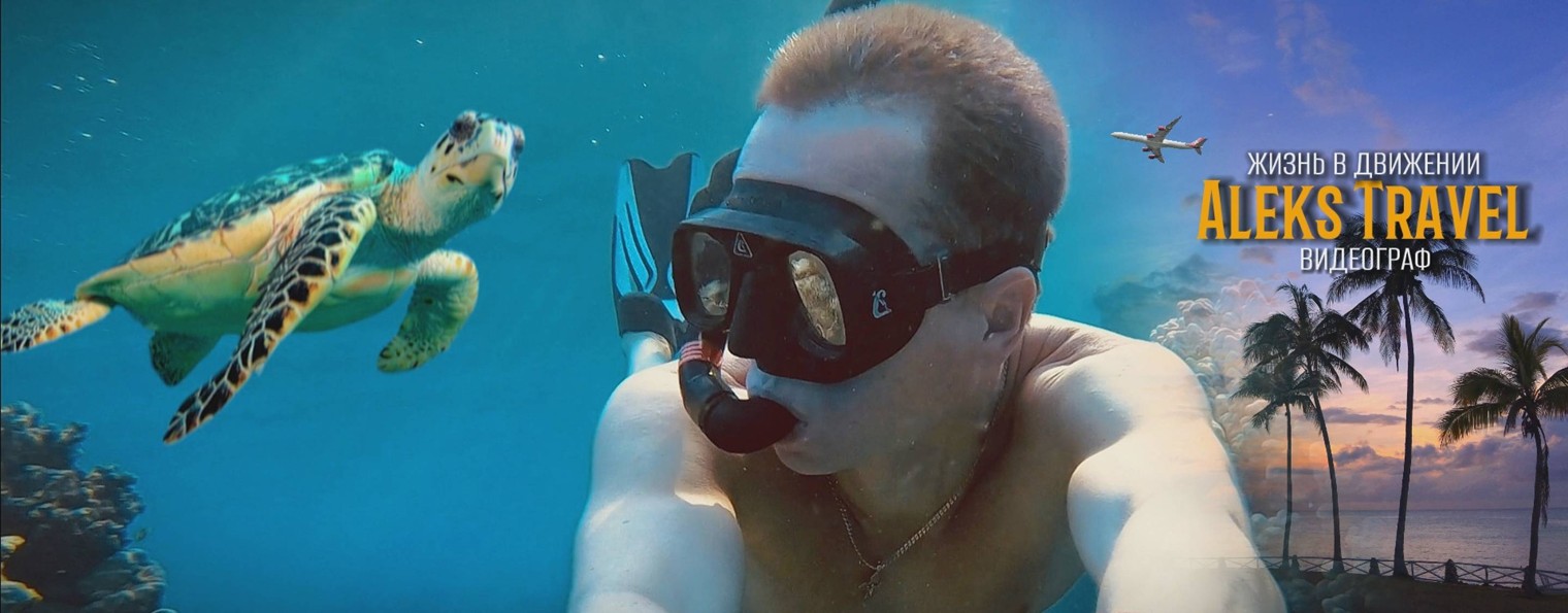 Жизнь в движении