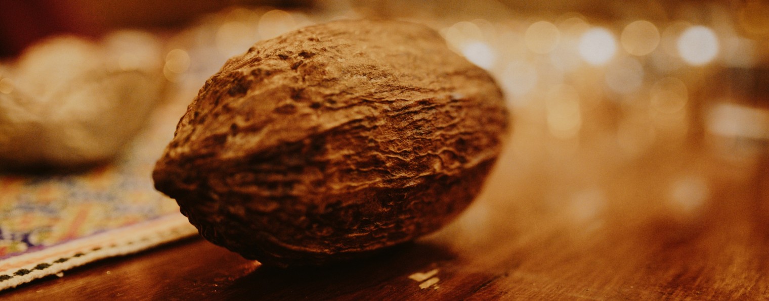 CACAO LOVERS