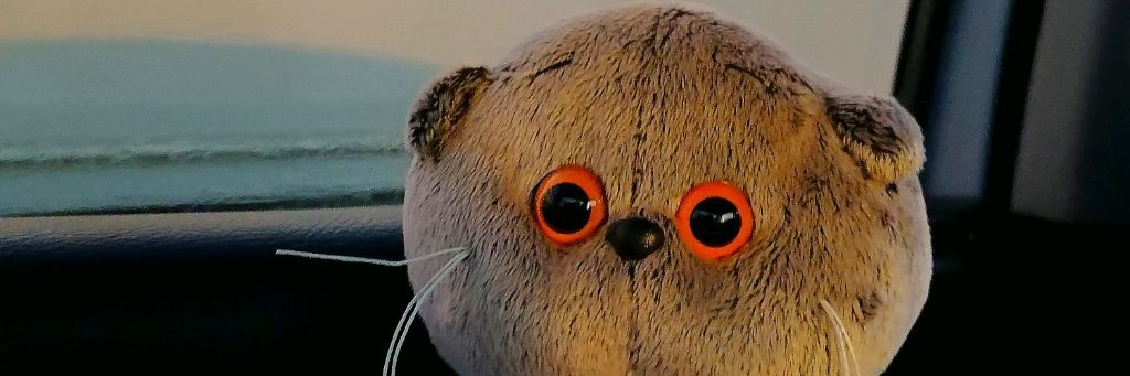 🐱Басики ТВ🐱