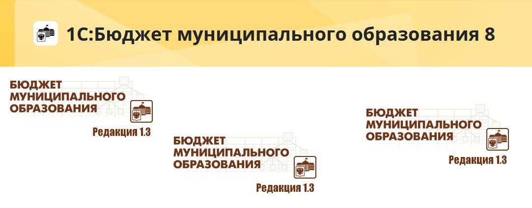 1С: Бюджет муниципального образования
