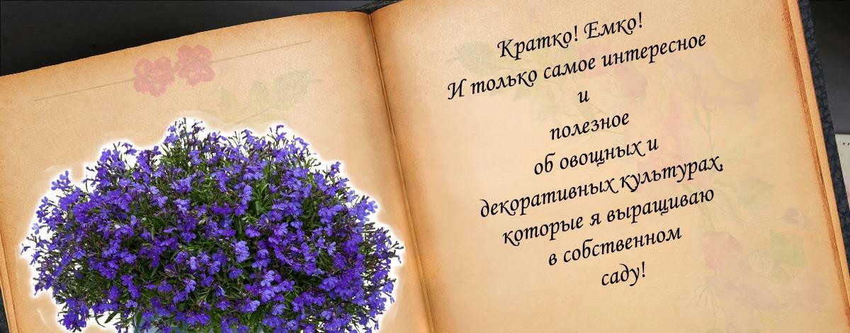 Увлекательный мир садовода