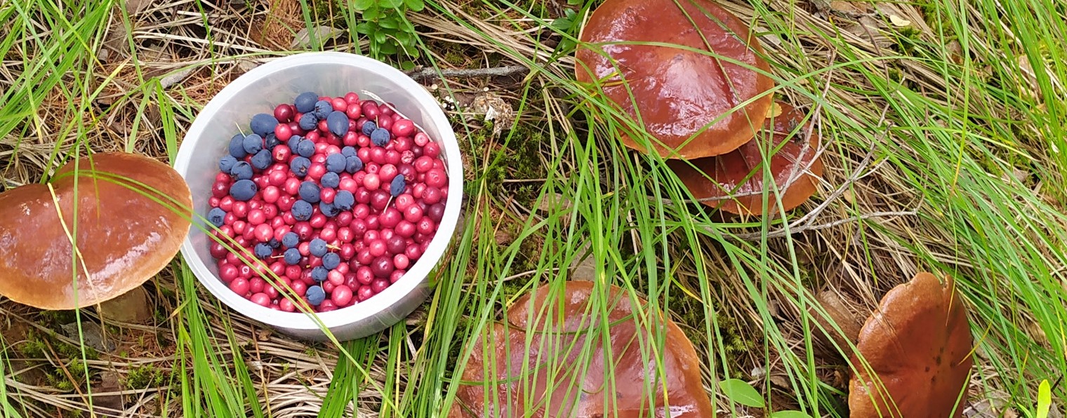 Евгений Федин