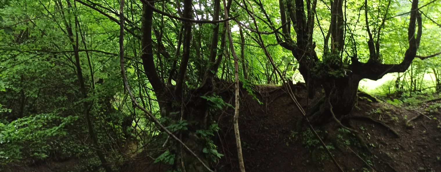 Всё Интересное здесь