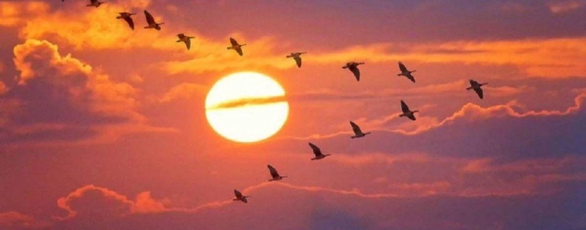 Karacoom I Стихи и песни