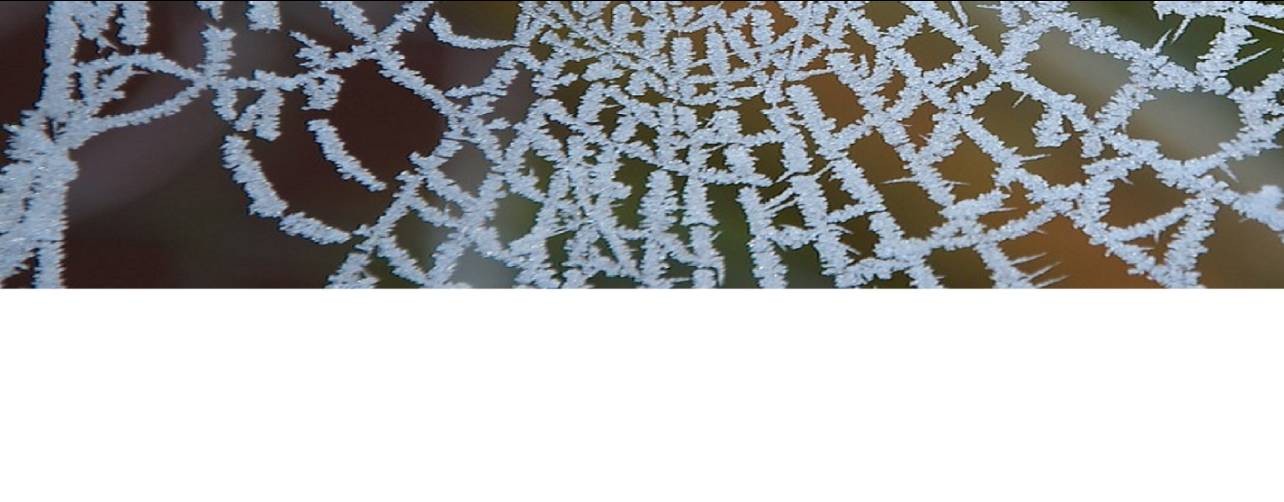 Мир иллюзий