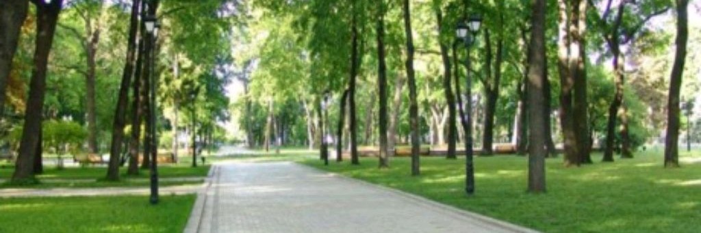 Куринный Сборник Мемов