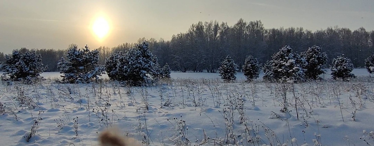 Прогулки и отдых на природе
