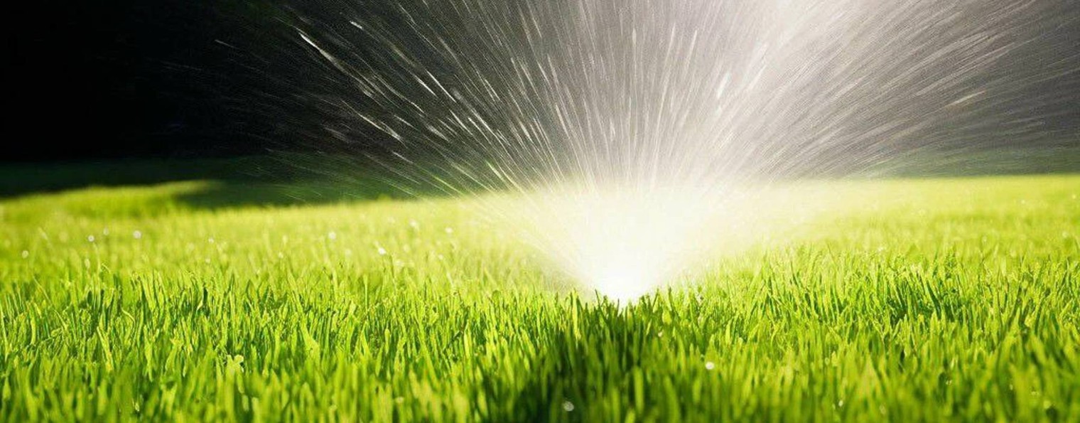 ПОЛИВ МОСКВА