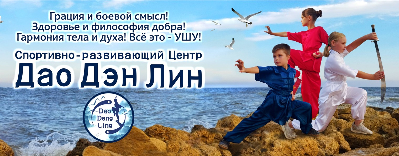 Спортивно-развивающий Центр "Дао Дэн Лин", Воронеж