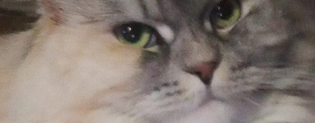 Sergei Ageev 19761977