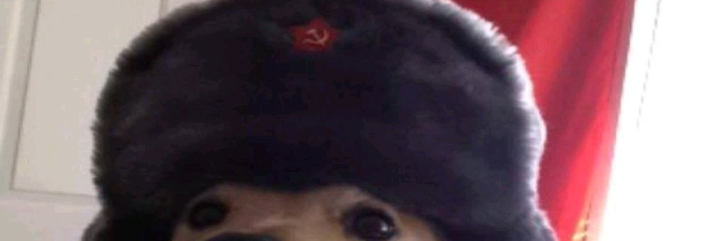 Какой то чел