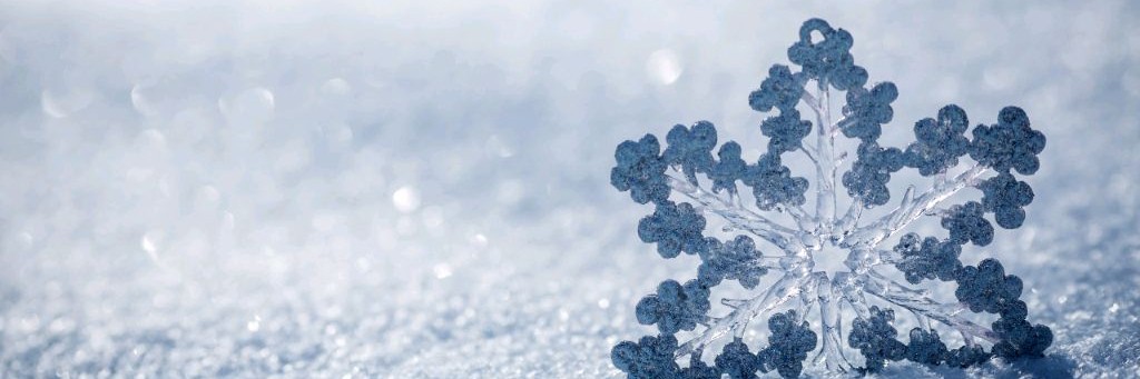 Элина Нишева