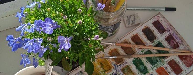 Рисовалки - начиналки