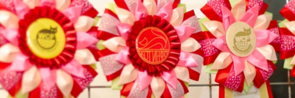 RabiaPride ,мини Питомник