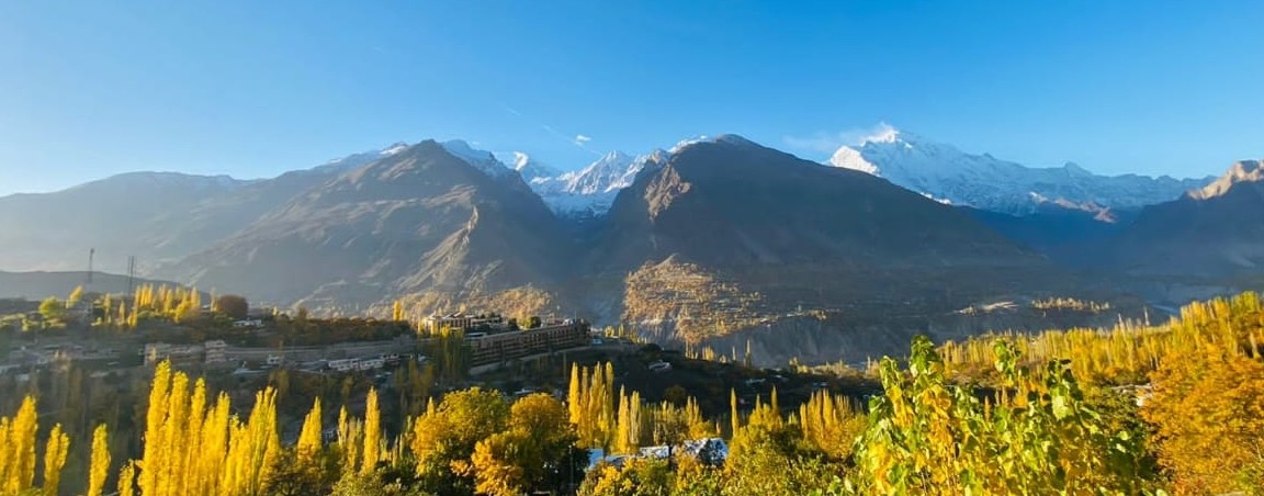 Мистер Алишер