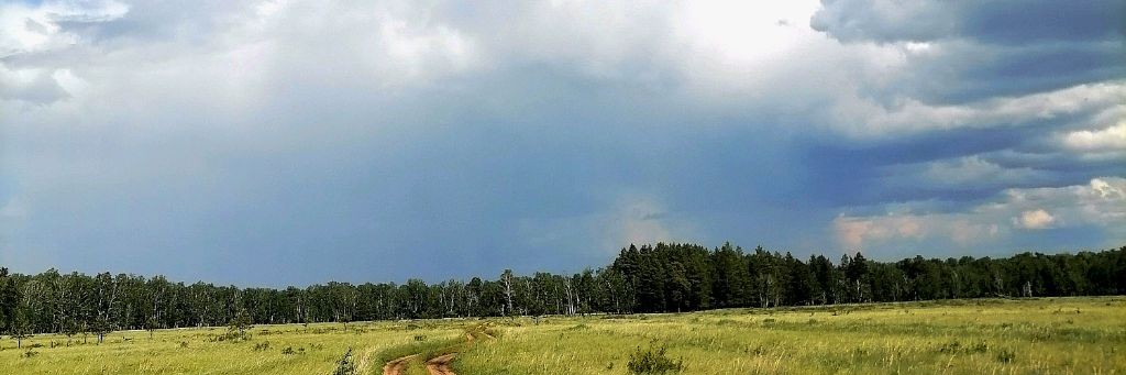 Антон Демидов