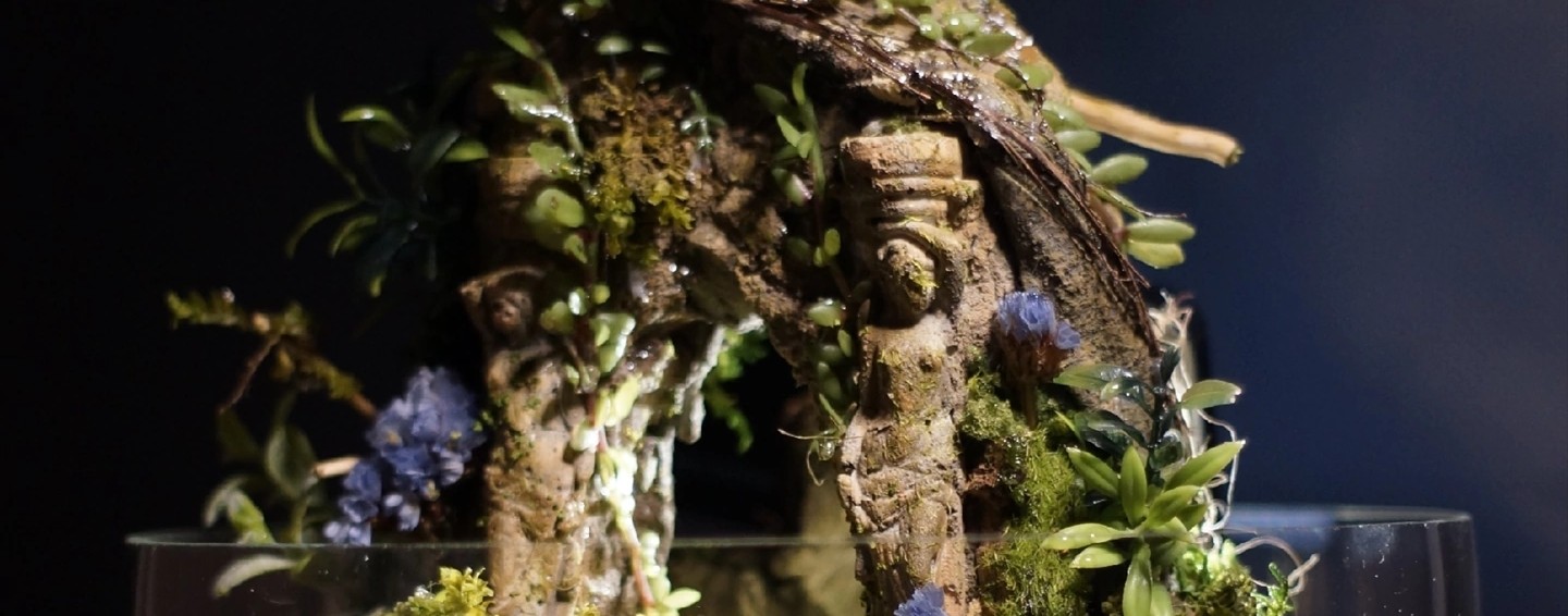 rutube_account_14363123