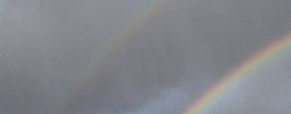 ЦАРСТВО ИГР