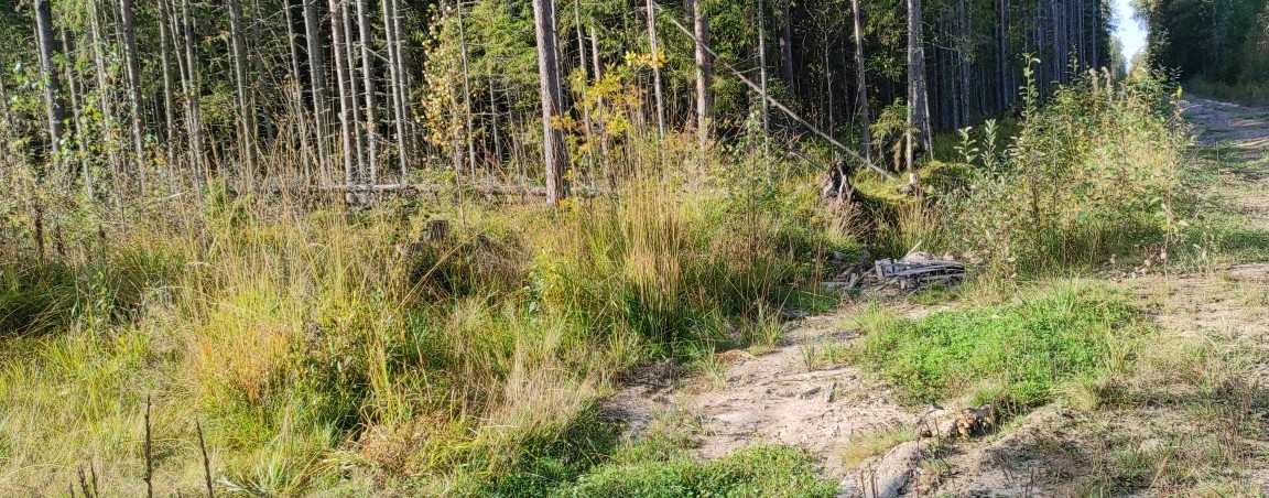 Ермаков Игорюха