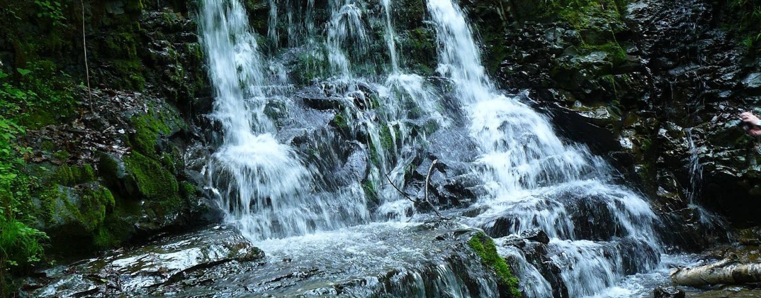 Moscow Church Rodnik