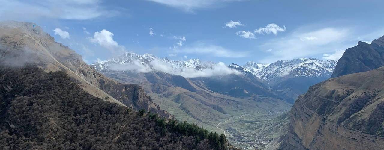 Амадей Моцарт