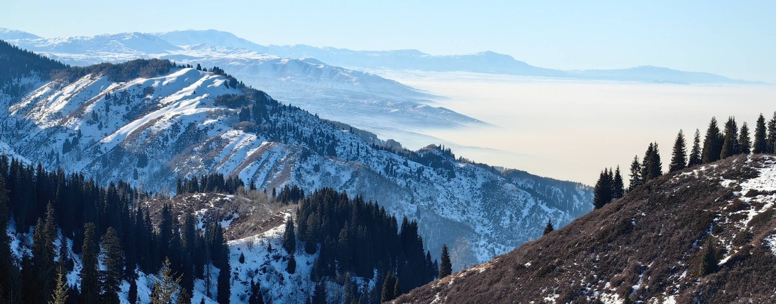 Попов Андрей