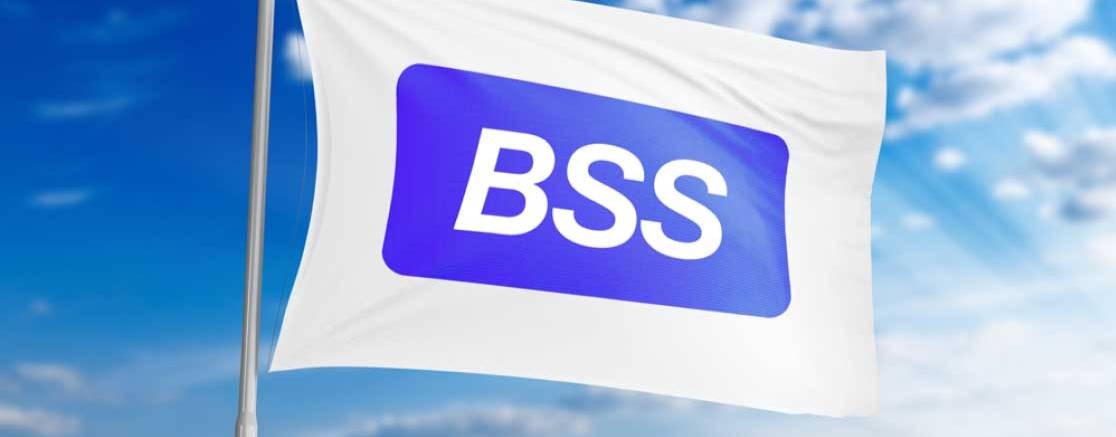 BSS - Бэнкс Софт Системс - БСС
