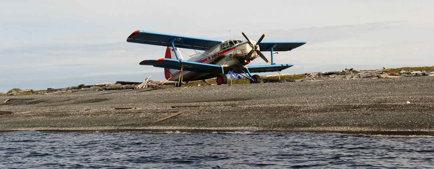 АРКТИКА ГЛАВНАЯ