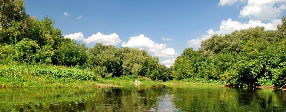 Оксана Добровольская