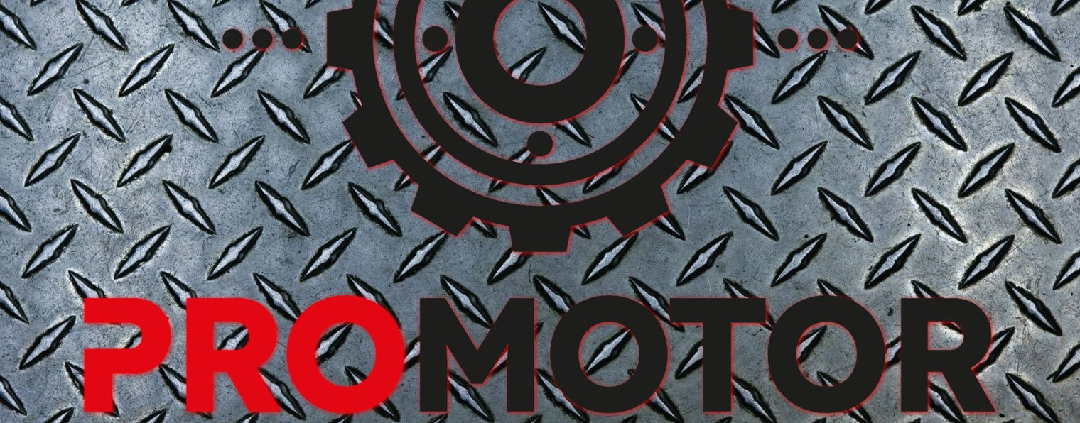 PROMOTOR- двигатели заводской сборки