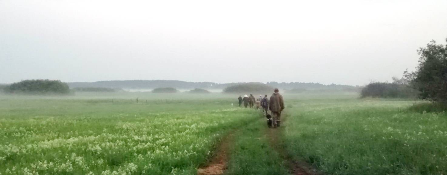 СПАНИЕЛИ БЕЛАРУСИ / секция РГОО БООР