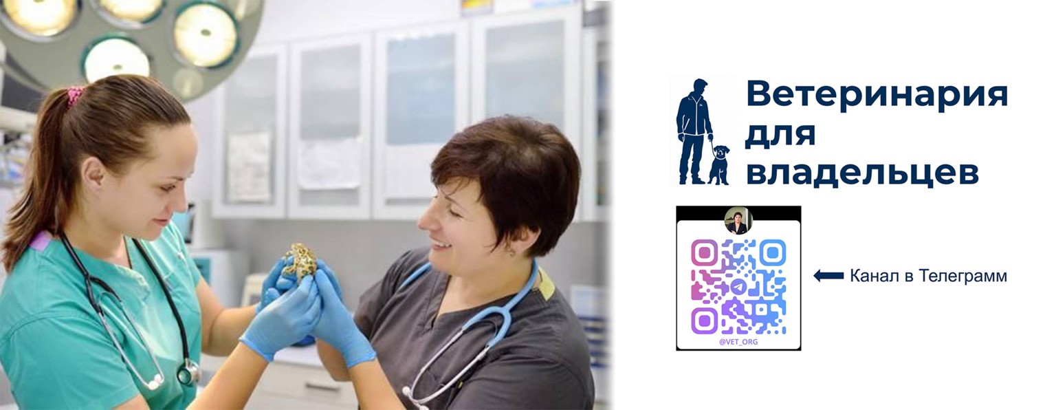 Ветеринария для владельцев