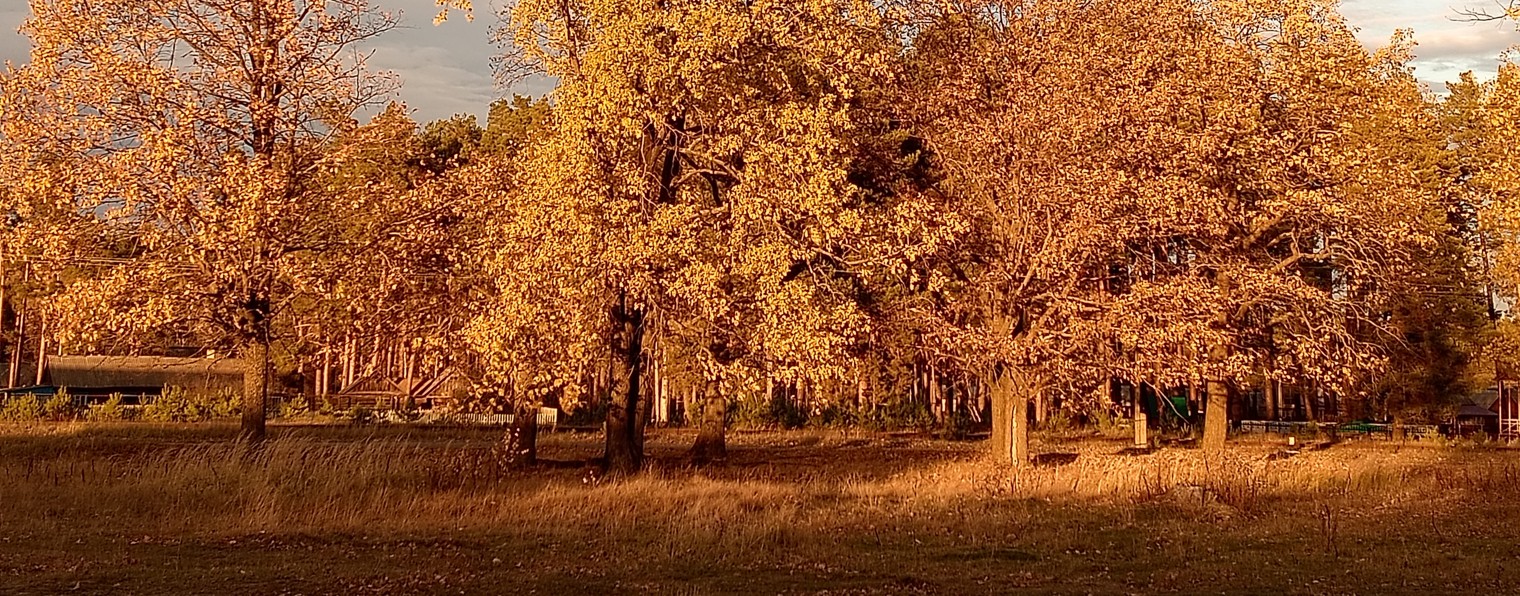 Мотивашки от Юляшки