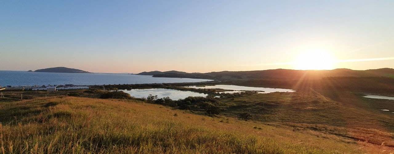 Прохор Белеванцев