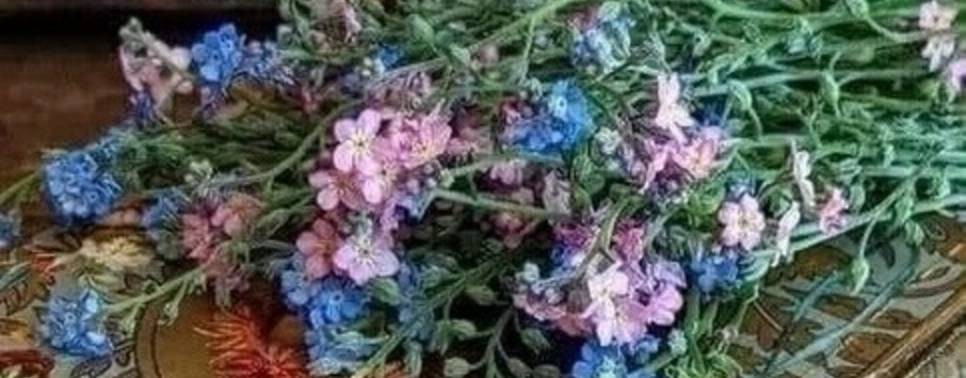 Лариса ПАПАЗОВА НОН-СТОП Брест