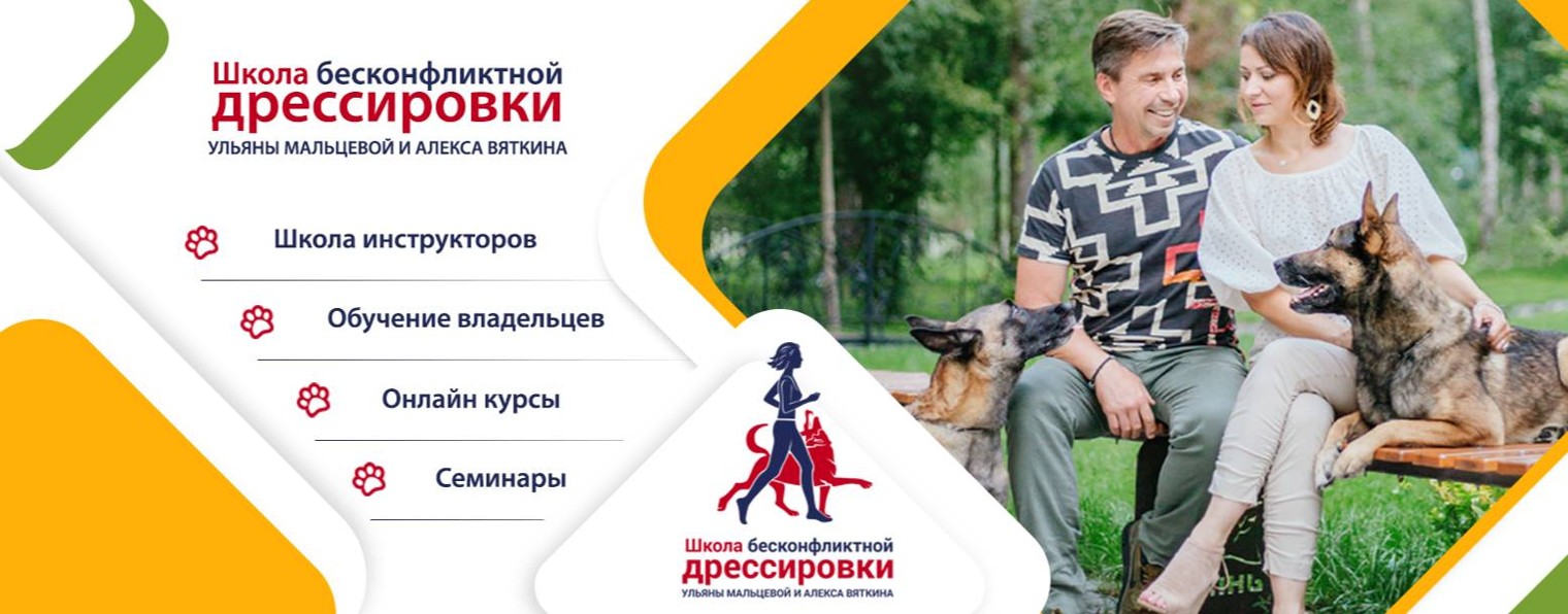 Школа Бесконфликтной дрессировки