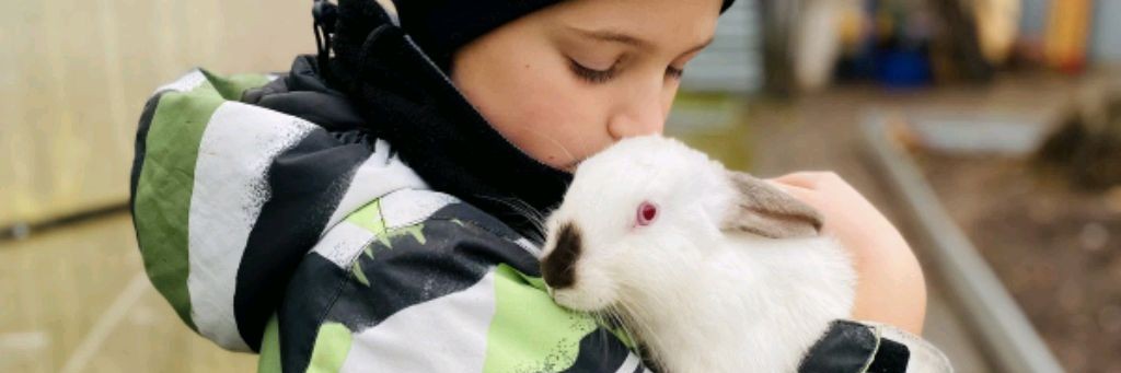 Жизнь кроликовода