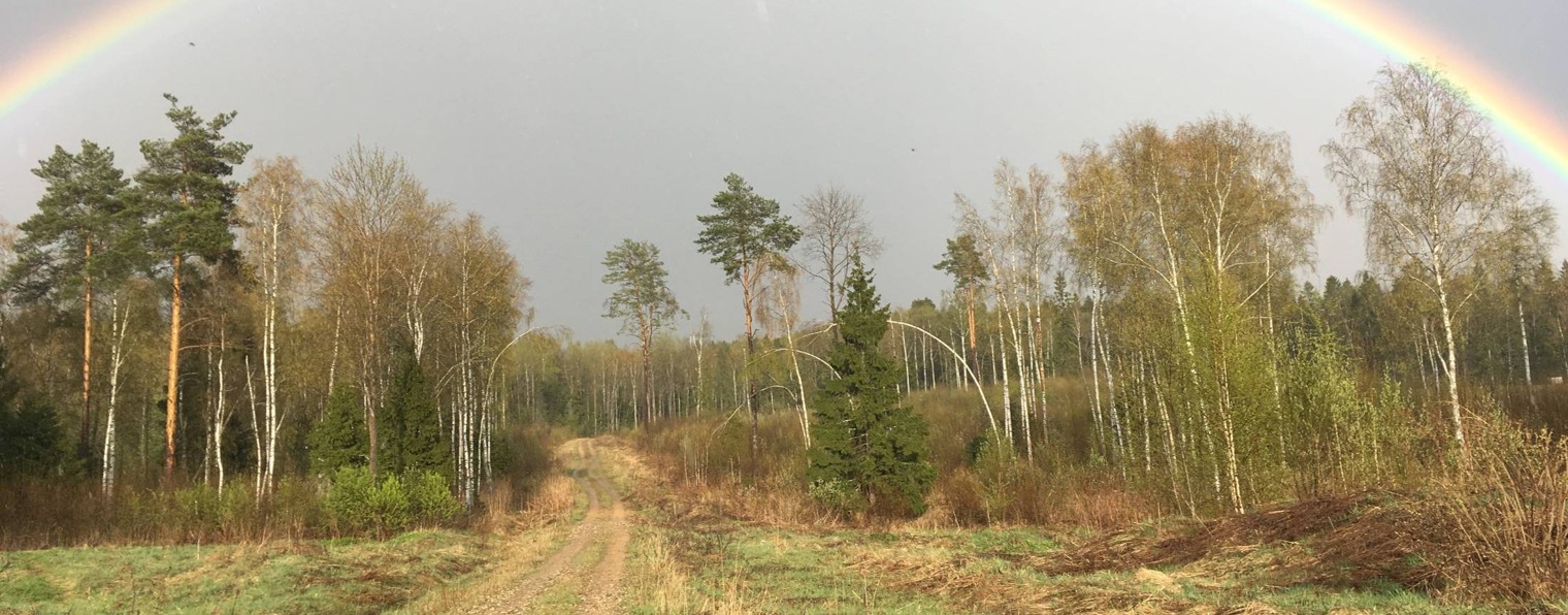 Строительство и Жизнь